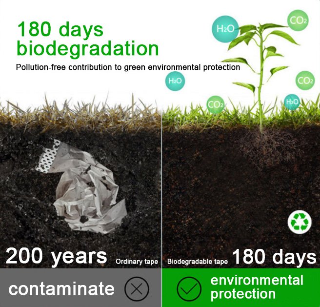 Biodegradable Cellulose Tape-Made of high quality wood pulp