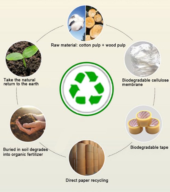 Biodegradable Cellulose Tape-Made of high quality wood pulp